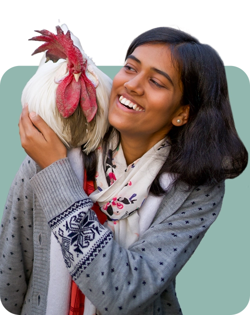 Meet the team at Satvic Movement